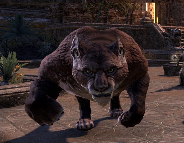 Alkosh's Roar | Elder Scrolls | Fandom