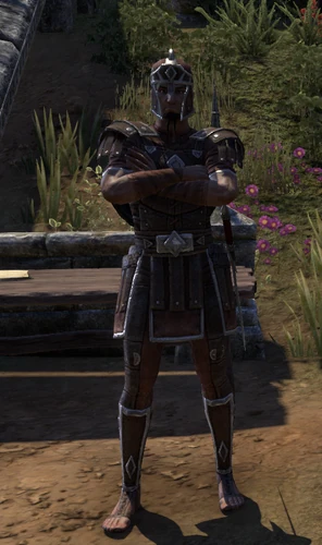 Captain Verus | Elder Scrolls | Fandom