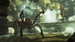 Nimhe | The Elder Scrolls Wiki | Fandom