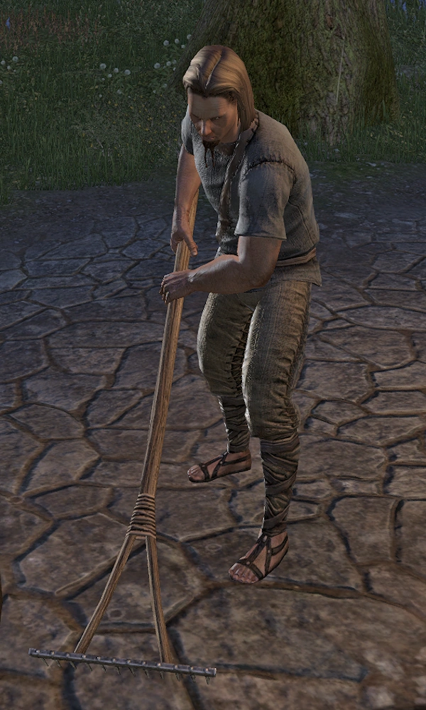 Thierry Molose | Elder Scrolls | Fandom