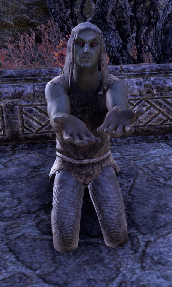 Anylos Indavel | Elder Scrolls | Fandom