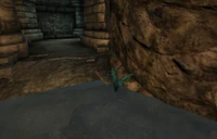 Bravil Wizard's Grotto | Elder Scrolls | Fandom