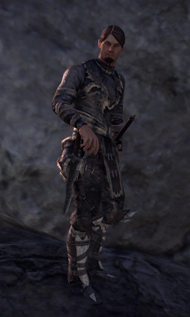 Anarmor | Wiki The Elder Scrolls | Fandom