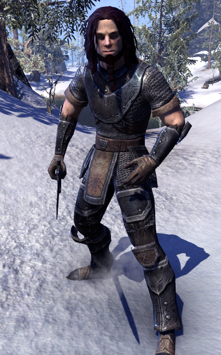 Brigand De Givremordant Wiki The Elder Scrolls Fandom