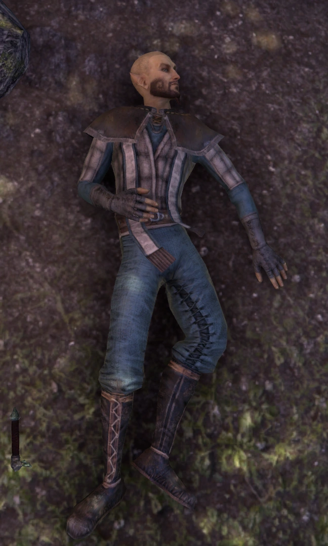 Erannin | Wiki The Elder Scrolls | Fandom