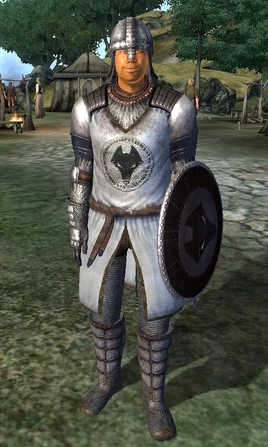 Kvatch Soldier (Oblivion) | Elder Scrolls | Fandom