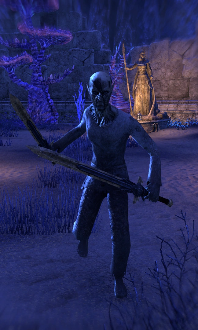 Warrior (Summerset) | Elder Scrolls | Fandom