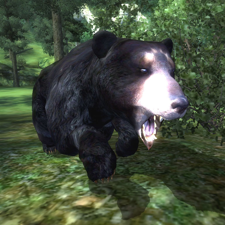 Чёрный медведь Oblivion The Elder Scrolls Wiki Fandom