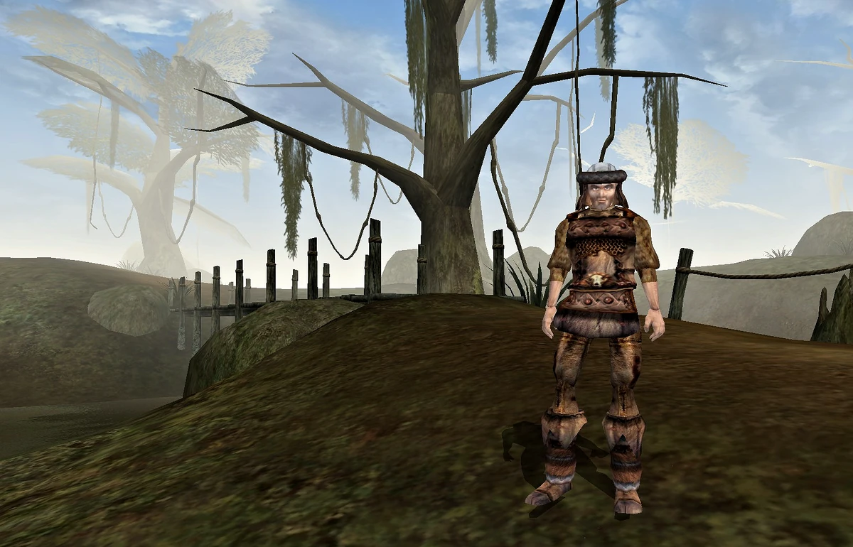 Fjol the Outlaw | Elder Scrolls | Fandom