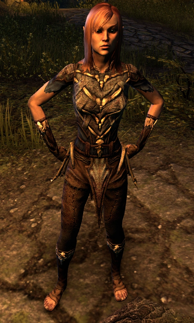 Category:Online: Shrouded Vale Characters | Elder Scrolls | Fandom