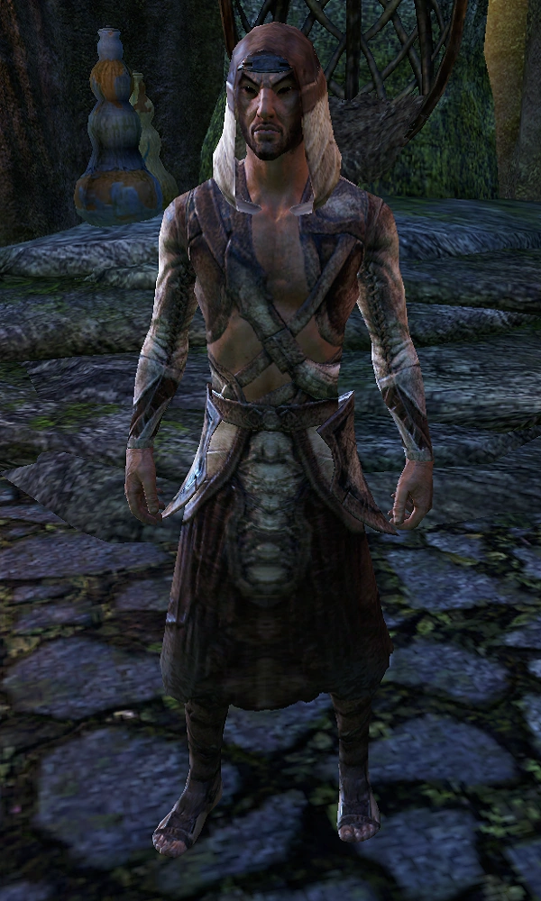 Spinner Caerllin | Elder Scrolls | Fandom