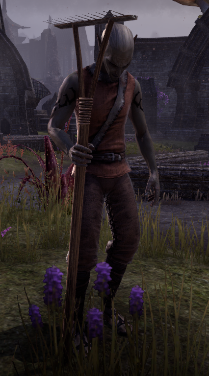 Thiile Sarethi Wiki The Elder Scrolls Fandom