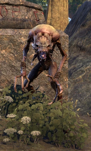 Hunger (Online) | Elder Scrolls | Fandom