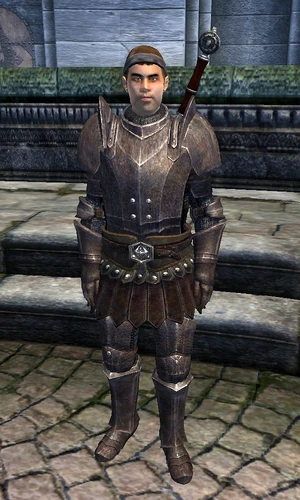 Imperial Legion Captain | Elder Scrolls | Fandom