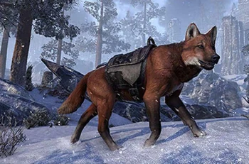 Red Pit Wolf | Elder Scrolls | Fandom