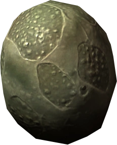 Slaughterfish Egg | Elder Scrolls | Fandom