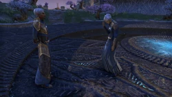 The Queen's Decree | Elder Scrolls | Fandom