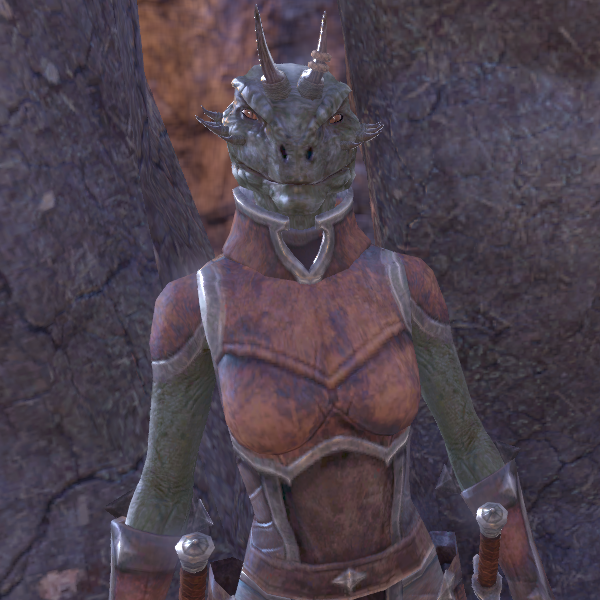 Закутанная в Шёлк The Elder Scrolls Wiki Fandom