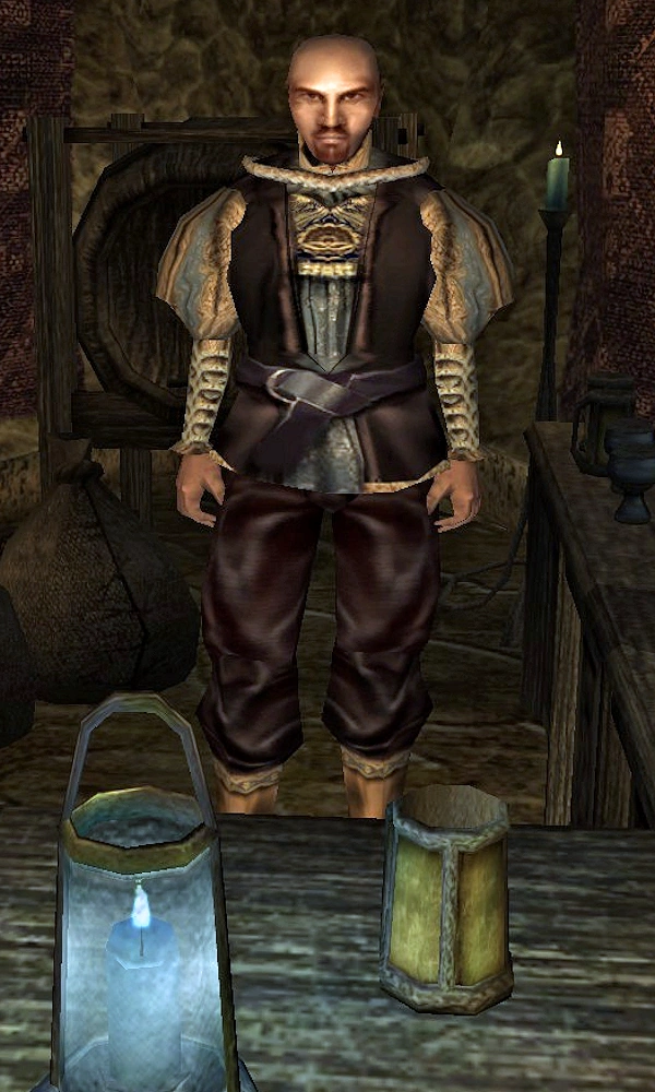 Burcanius Varo | The Elder Scrolls Wiki | Fandom