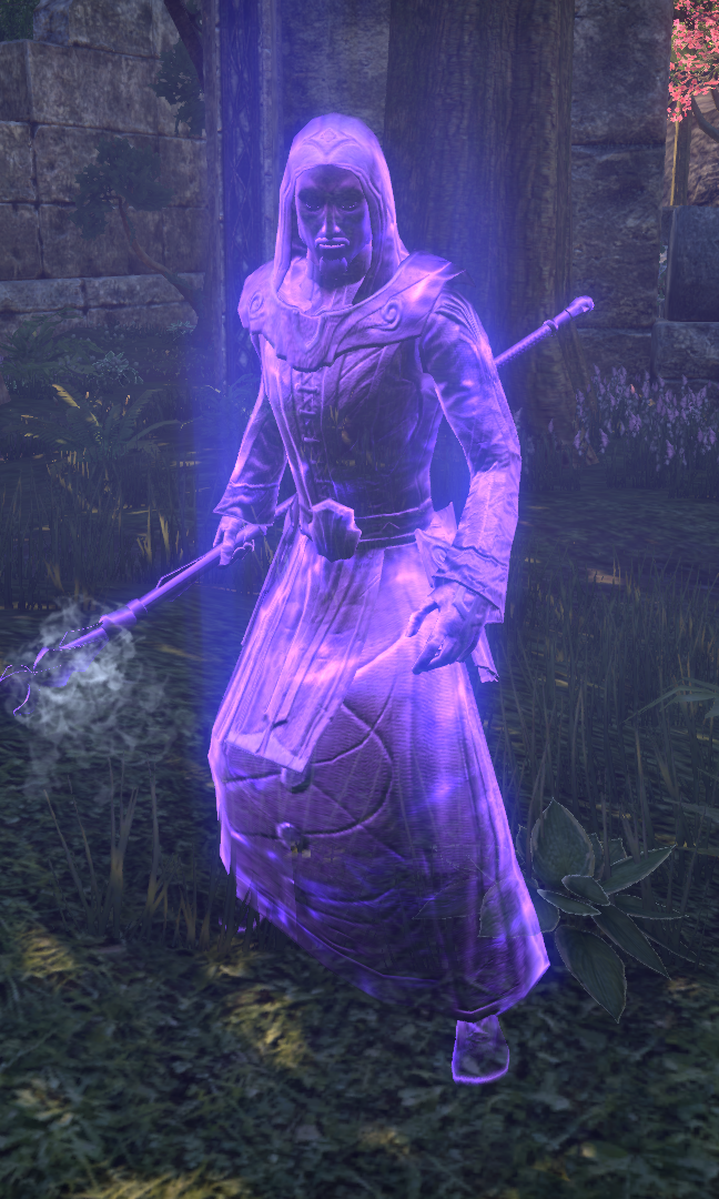 Maître Glace Ancestral Wiki The Elder Scrolls Fandom