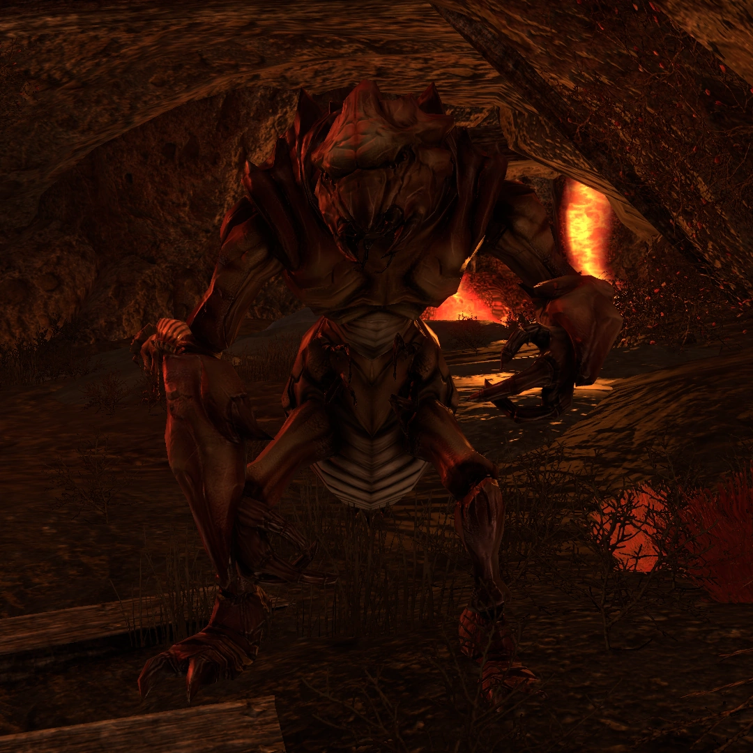 Kwama guerrier (Online) | Wiki The Elder Scrolls | Fandom