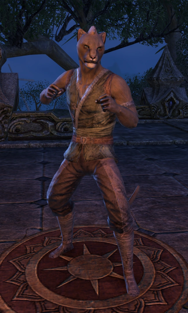 Khari (Temple de la danse des deux-Lunes) | Wiki The Elder Scrolls | Fandom