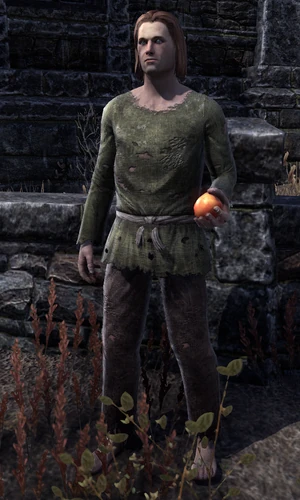 Nirine Geric | Elder Scrolls | Fandom