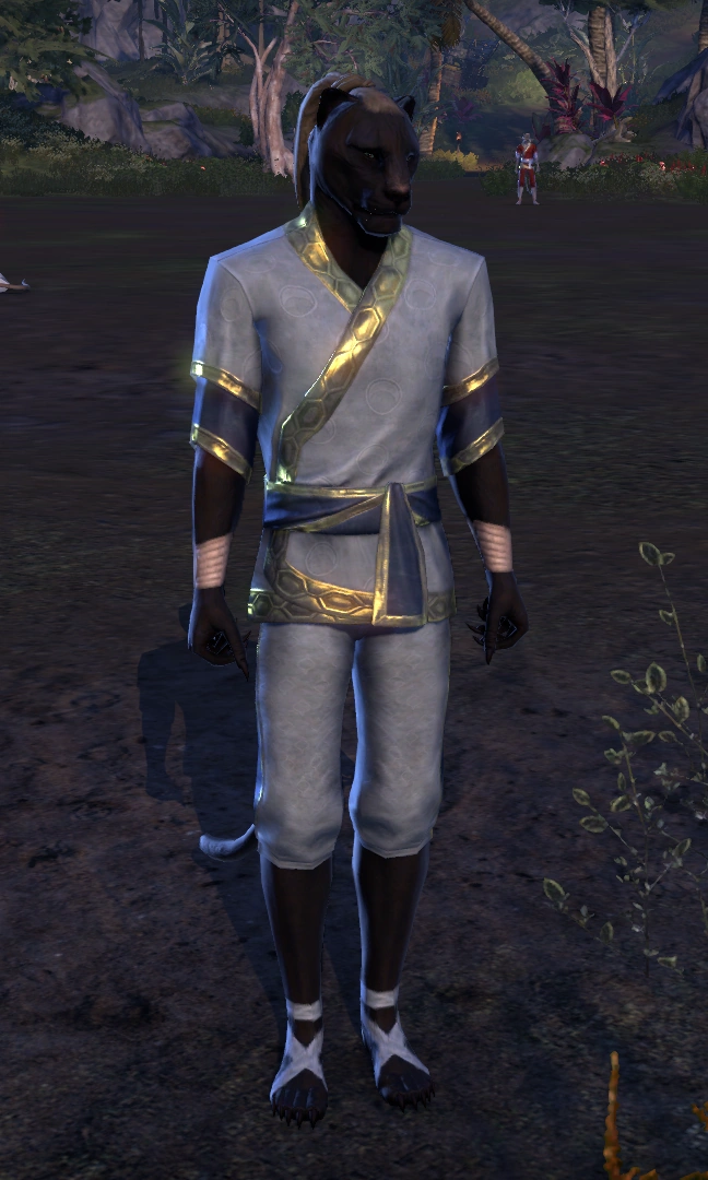 Nomade baandari | Wiki The Elder Scrolls | Fandom