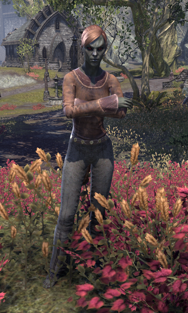 Ravila Aram Elder Scrolls Fandom
