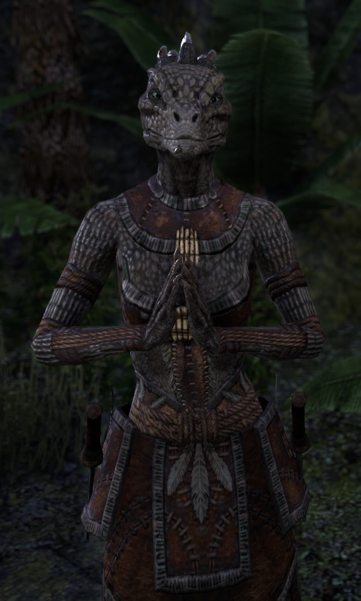 Sonsu | Wiki The Elder Scrolls | Fandom