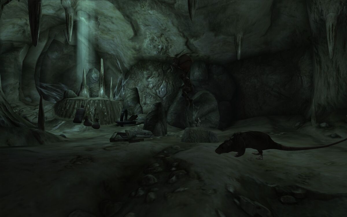 Пещера Змеиная Нора Oblivion The Elder Scrolls Wiki Fandom