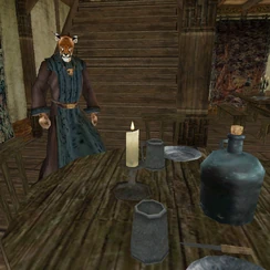 Анасси, особый друг | The Elder Scrolls Wiki | Fandom