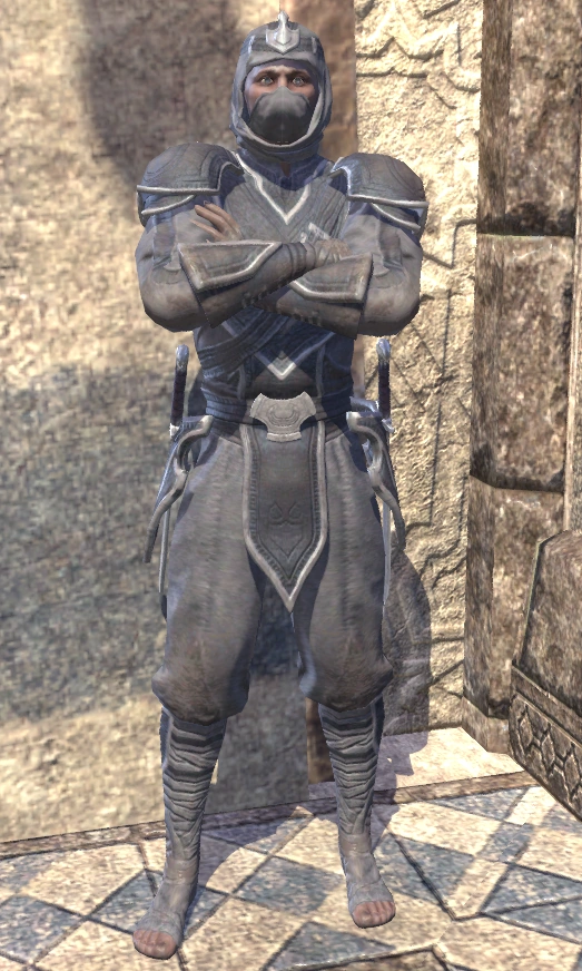 Hallin's Liberator | Elder Scrolls | Fandom