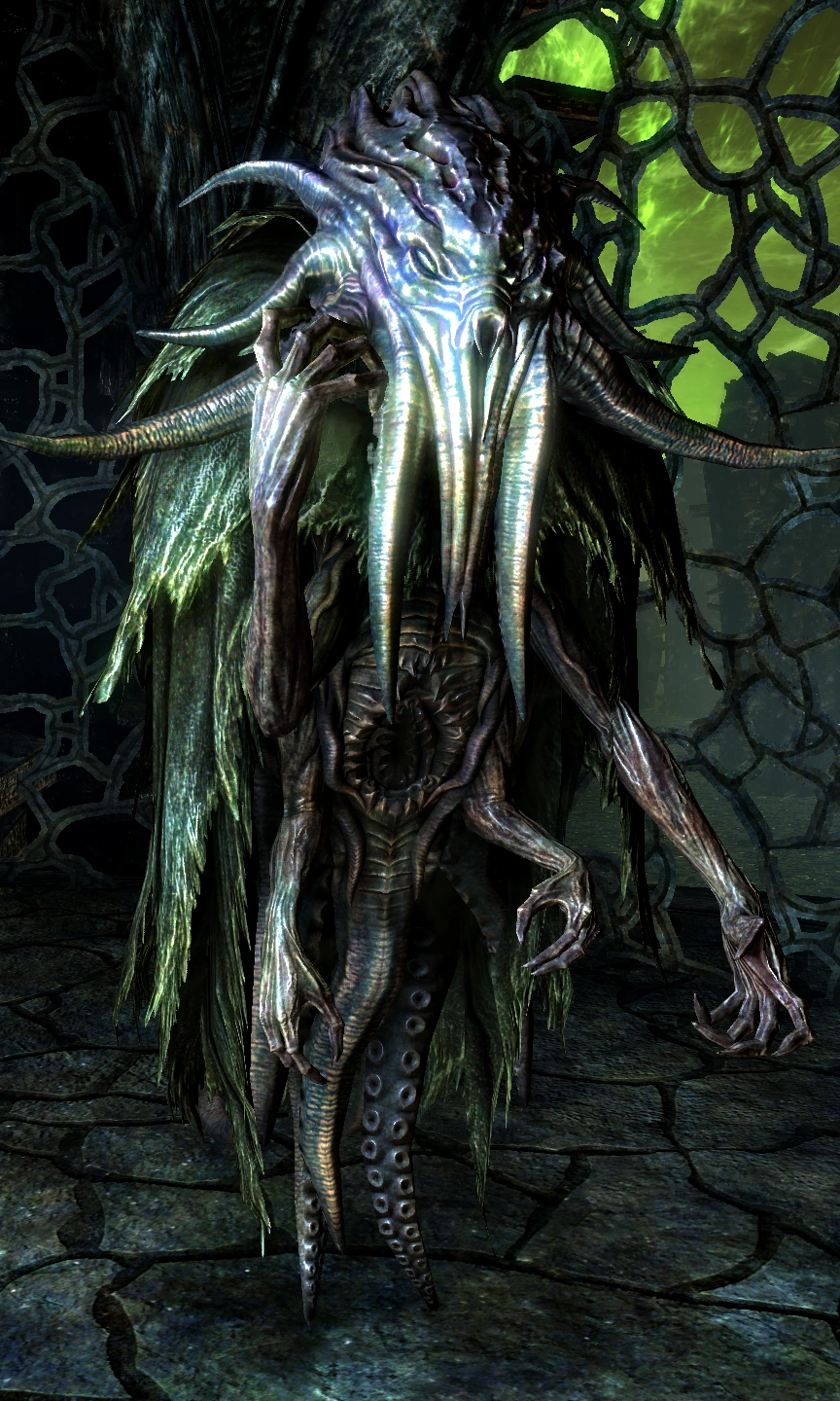 Seeker | Elder Scrolls | Fandom