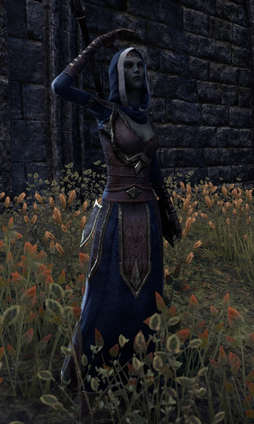 Instructrice Rironi | Wiki The Elder Scrolls | Fandom