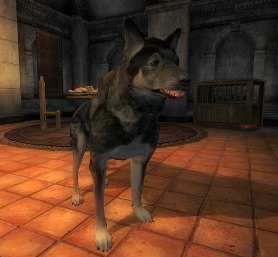 Rohssan's Dog | Elder Scrolls | Fandom