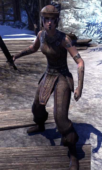 Sentinelle De Givremordant Wiki The Elder Scrolls Fandom