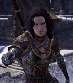 Windhelm's Champion | Elder Scrolls | Fandom