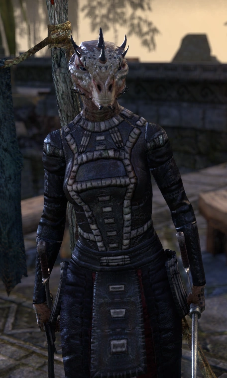 Adzi-Mota | Wiki The Elder Scrolls | Fandom