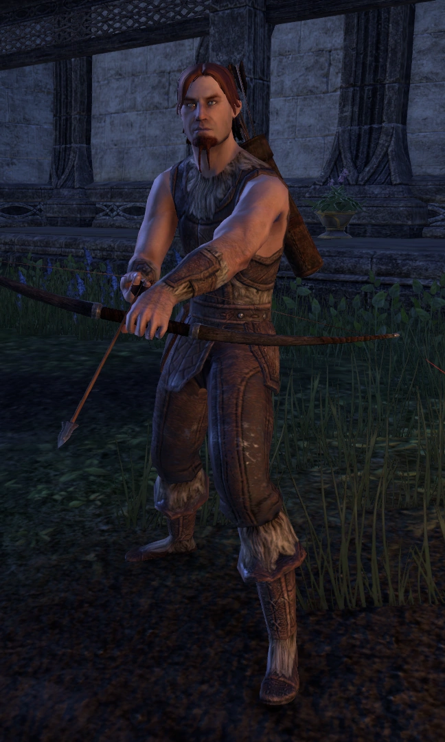 Archer Choucas | Wiki The Elder Scrolls | Fandom