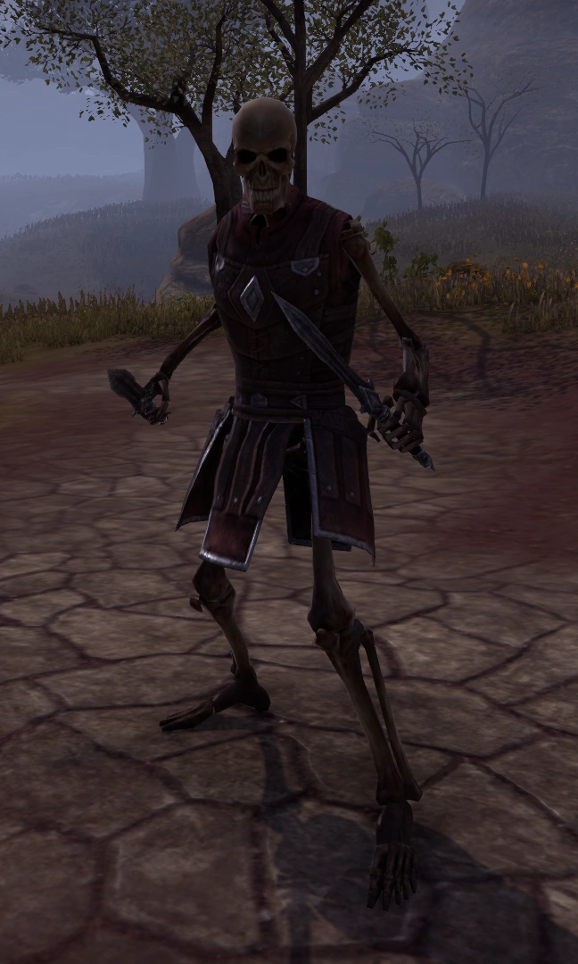Assassin squelette | Wiki The Elder Scrolls | Fandom