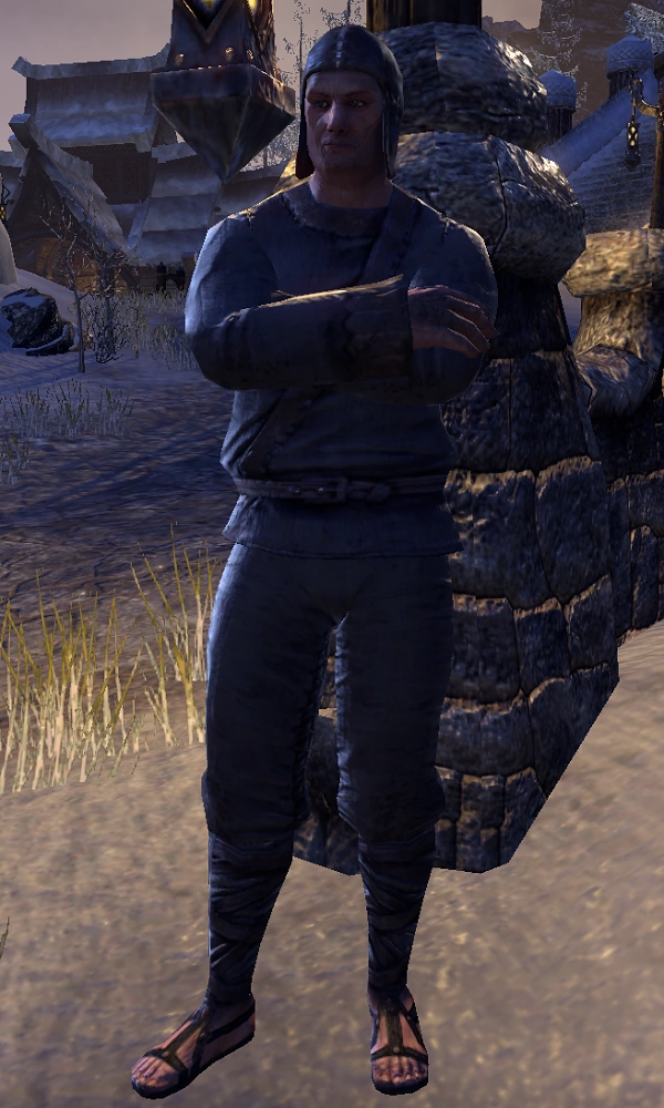 Erwan Nathans | Elder Scrolls | Fandom