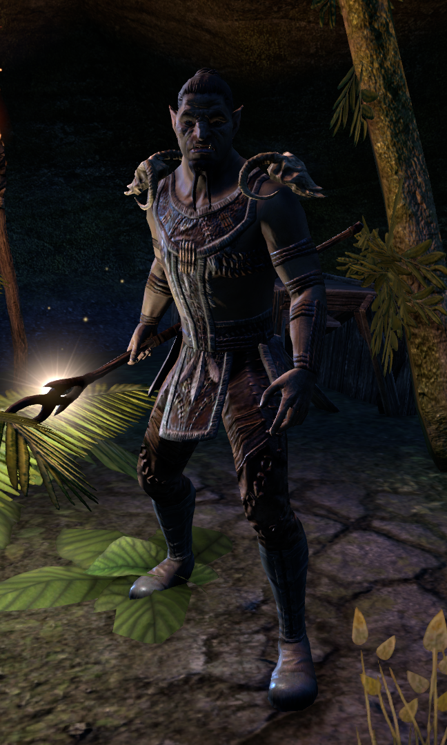 Guérisseur Du Marais Dombre Wiki The Elder Scrolls Fandom