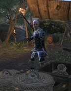 Veiled Heritance | Elder Scrolls | Fandom