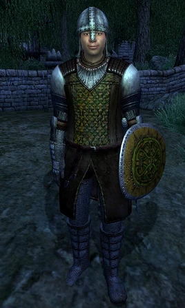 Amminus Gregori | Elder Scrolls | Fandom