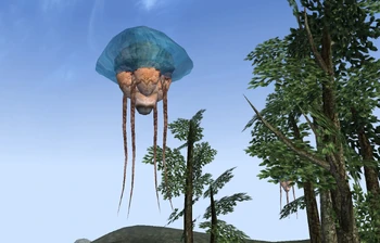 Betty Netch (Morrowind) | Elder Scrolls | Fandom