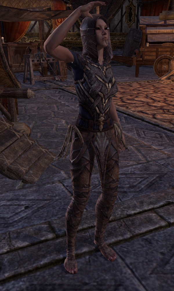 Erwin | Elder Scrolls | Fandom