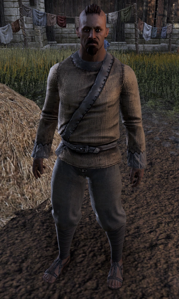 Hisham | Elder Scrolls | Fandom