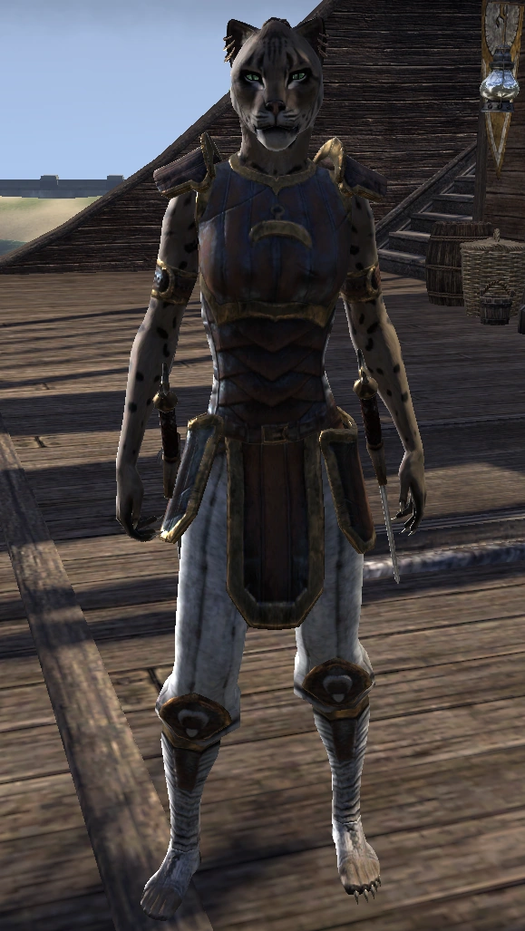 Captain Jimila | Elder Scrolls | Fandom