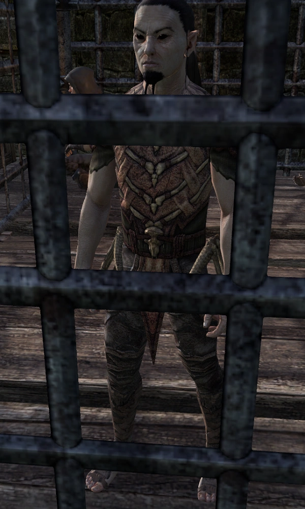 Nellor | Elder Scrolls | Fandom